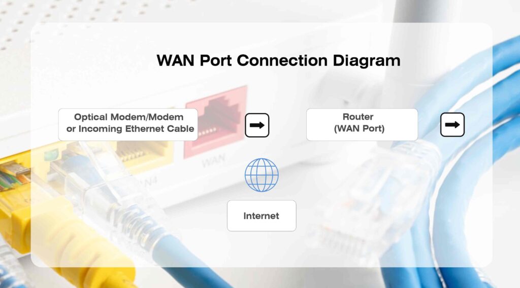 Puerto WAN vs. Puerto LAN: Diferencias clave y funciones explicadas