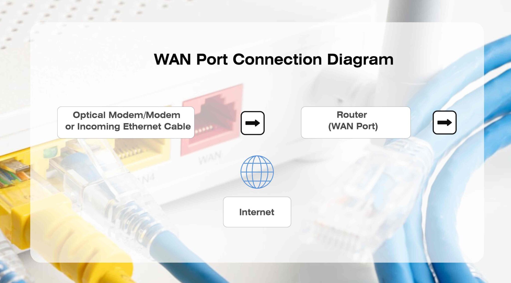 WAN Port vs LAN Port: Key Differences and Functions Explained