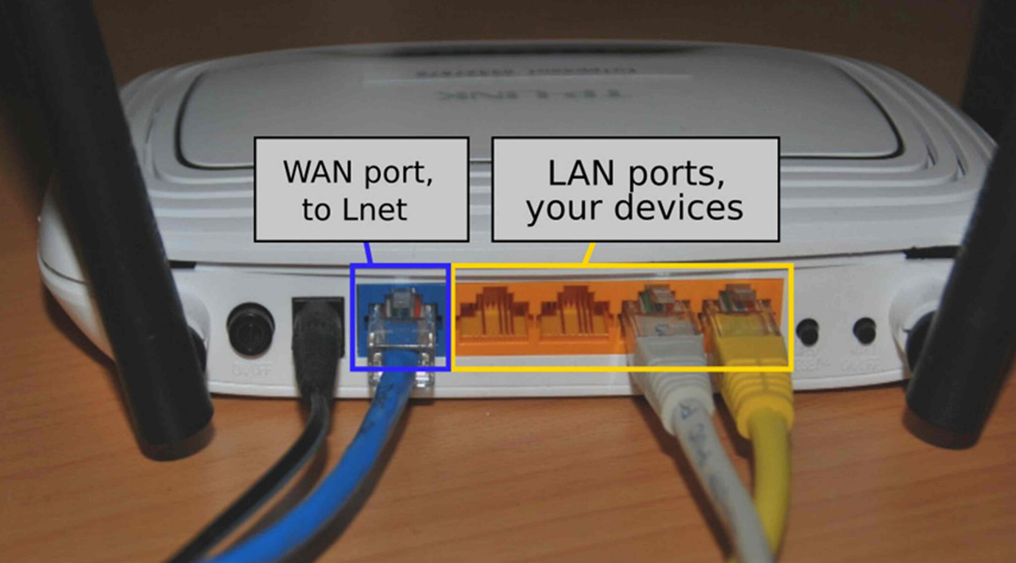 WAN Port vs LAN Port: Key Differences and Functions Explained
